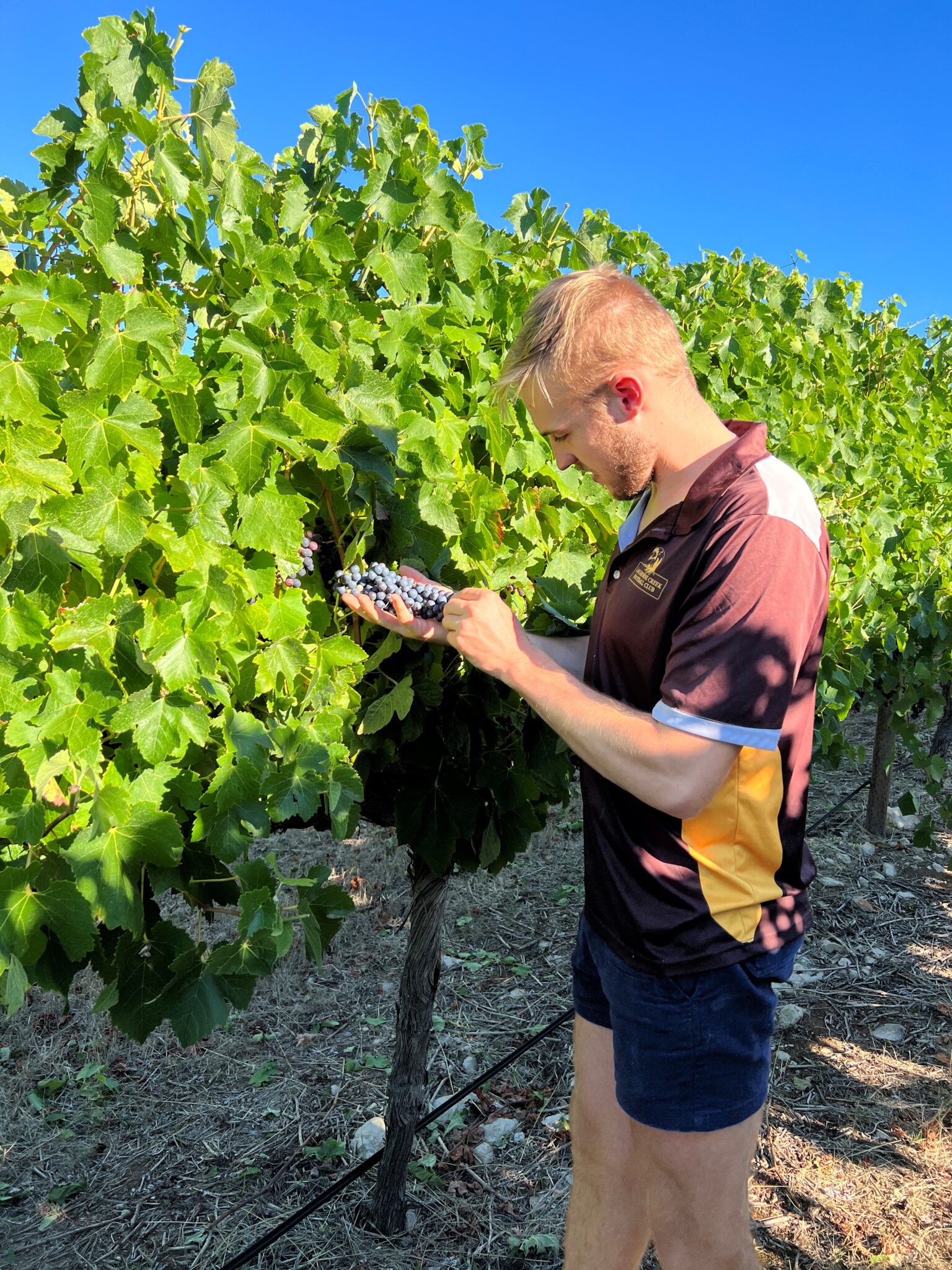 About – False Cape Wines